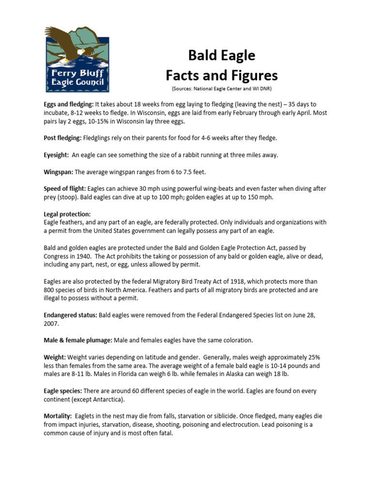 Bald Eagle Facts Figures | PDF | Bald Eagle | Eagle