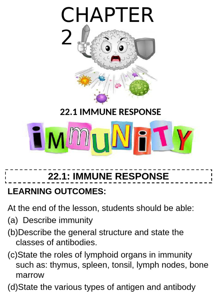 Immunity Response | PDF | Antibody | Antigen