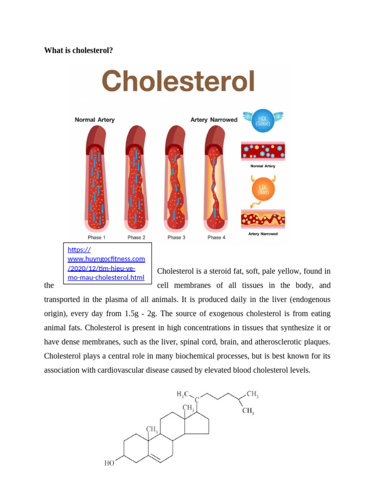 Understanding Cholesterol Types | PDF | Cholesterol | Lipoprotein
