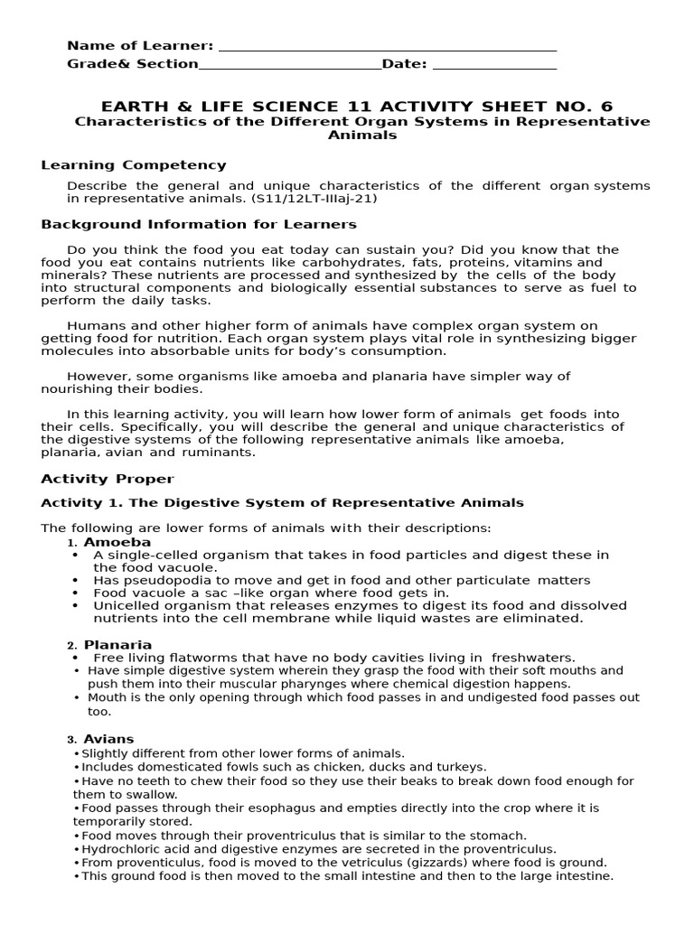Characteristics of Animal Organ Systems | PDF | Digestion | Stomach
