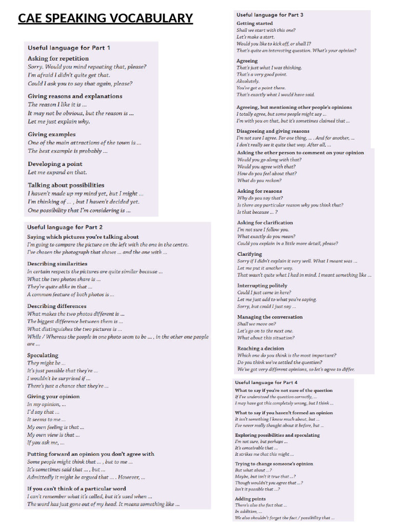 CAE SPEAKING VOCABULARY | PDF