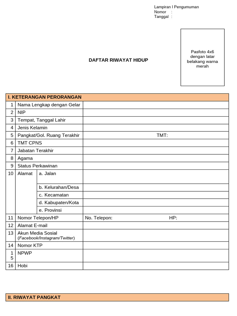 Format DRH PPPK 2024 Perorangan | PDF