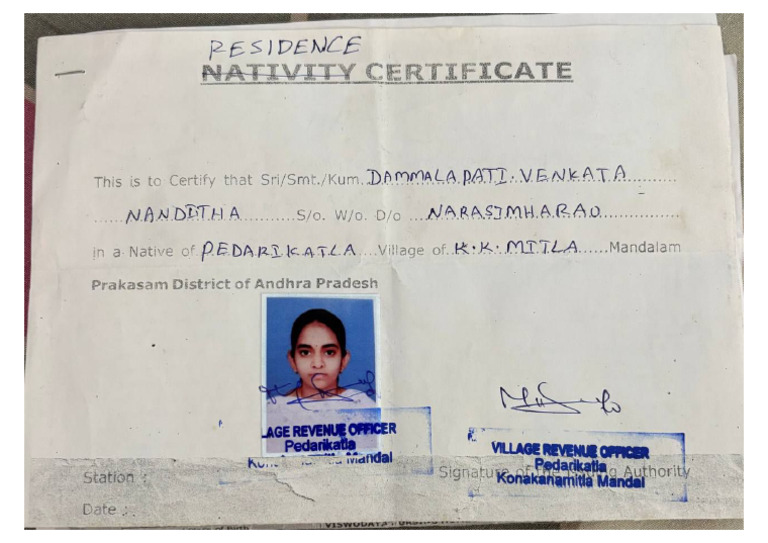 Native Certificate | PDF
