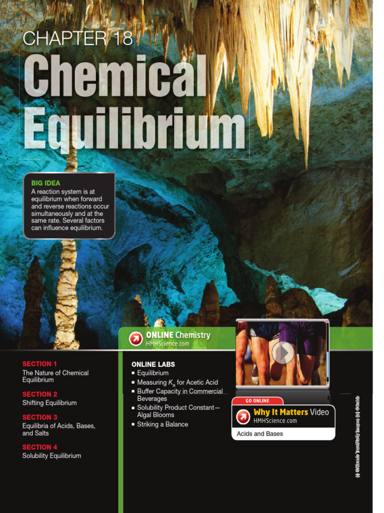 Chapter 18-Chemical Equilibrium | PDF | Chemical Equilibrium | Reaction Rate