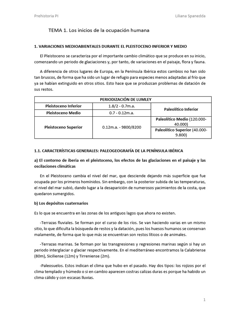 Tema 1 Pr.p.i. | PDF | Edad de Piedra | Paleolítico