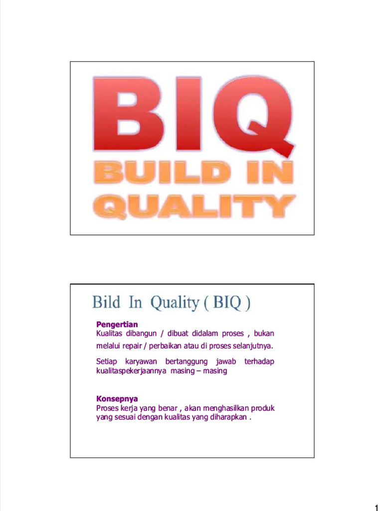PDF Biq Built in Quality Compress | PDF