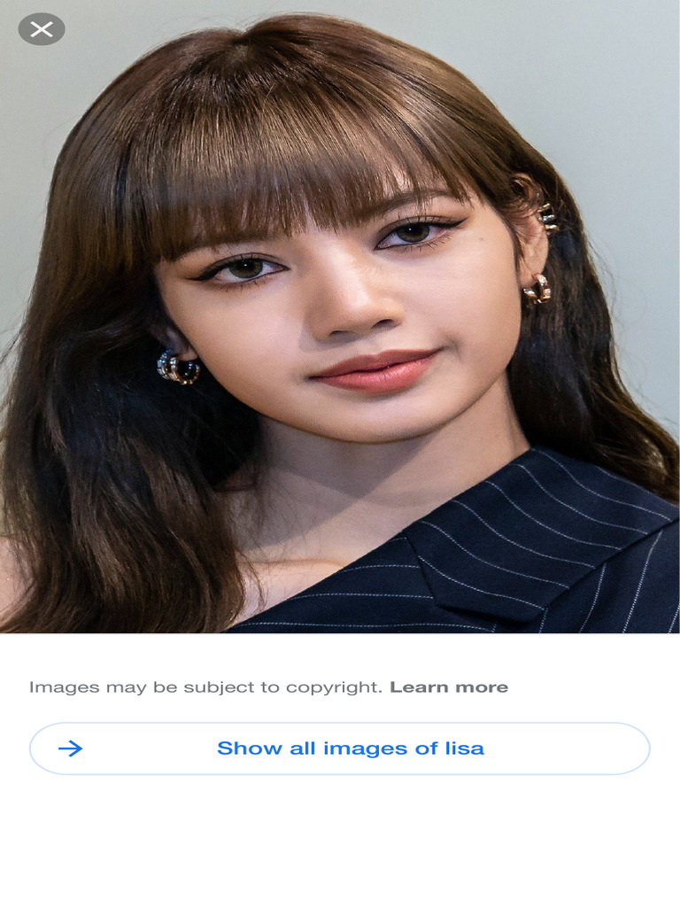 Lisa - Google Search | PDF