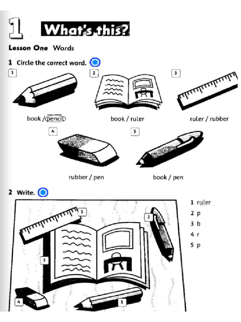 Handout Unit 2 _ Lesson 1 | PDF