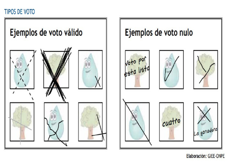 Ejemplos de Voto | PDF