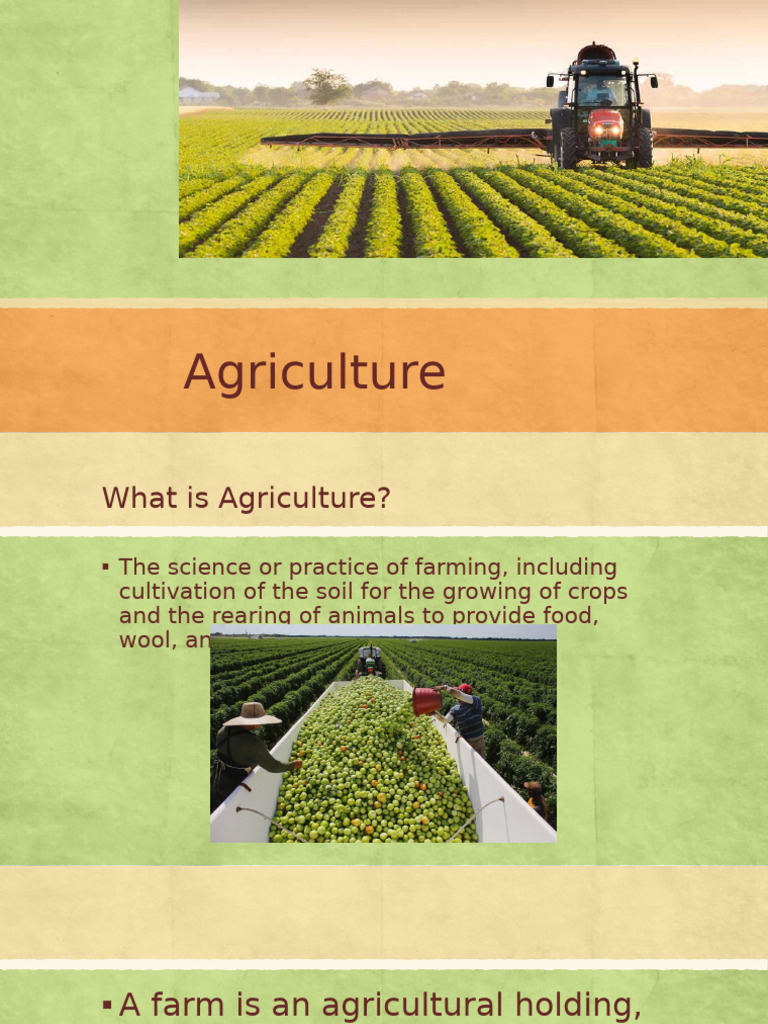 Agriculture gr 7 updated | PDF