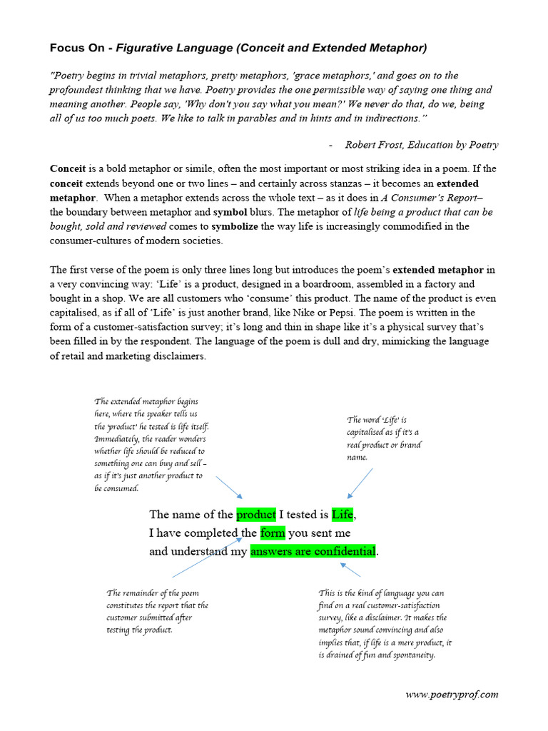 Focus On - Figurative Language (Conceit and Extended Metaphor) | PDF ...