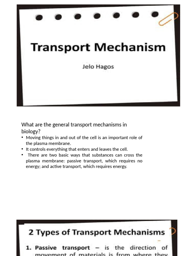 Transport Mechanisms in Biology | PDF | Cell Membrane | Cell Biology