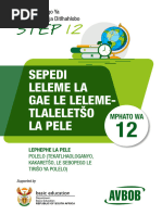 Sepedi Grade5 Lesson Plan Mahlathi 6 Phupu 2025 | PDF