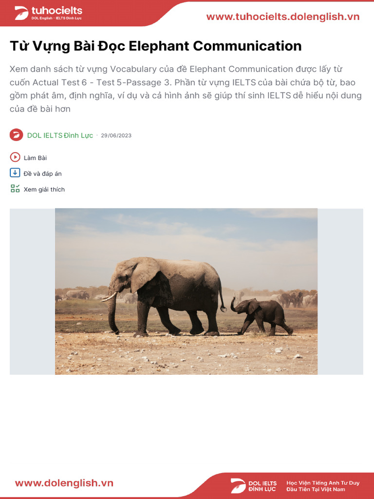 Elephant_Communication | PDF | Skull | Verb