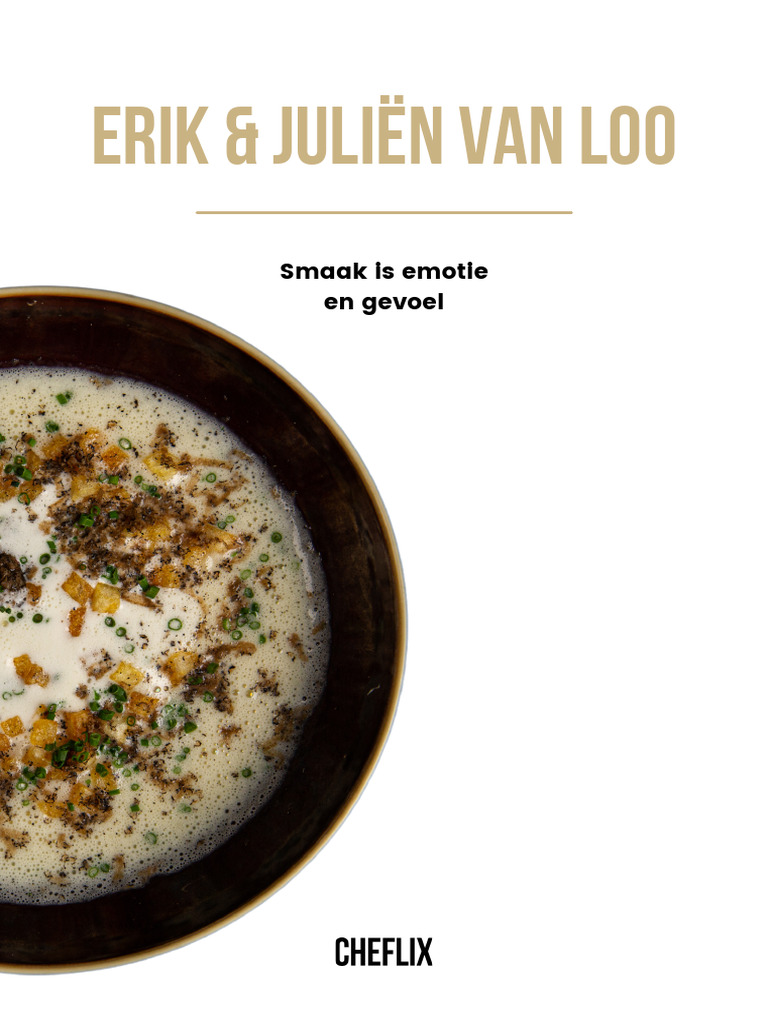 Werkboek Erik Van Loo | PDF