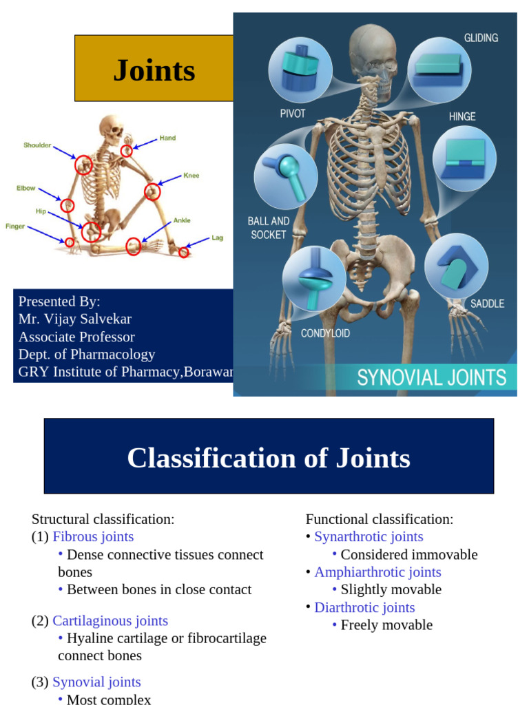 Joints 221020073008 0ec99e66 | PDF | Anatomical Terms Of Motion | Knee