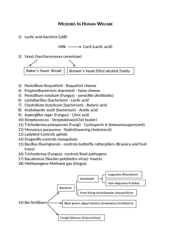 Microbes in Human Welfare | PDF
