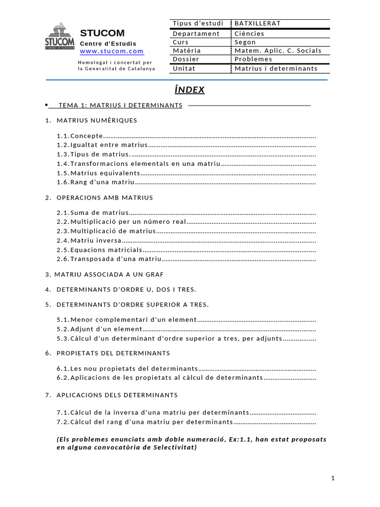 Cie 2425 Apu 2bat Matcs Col Lecció Problemes Pau Tema 1 Matrius | PDF