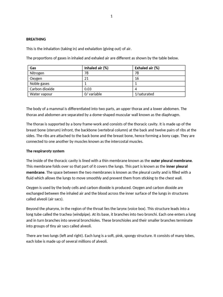 breathing notes | PDF | Lung | Respiratory Tract