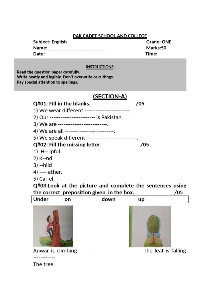 Class 1 English Exam Paper 2024 | PDF