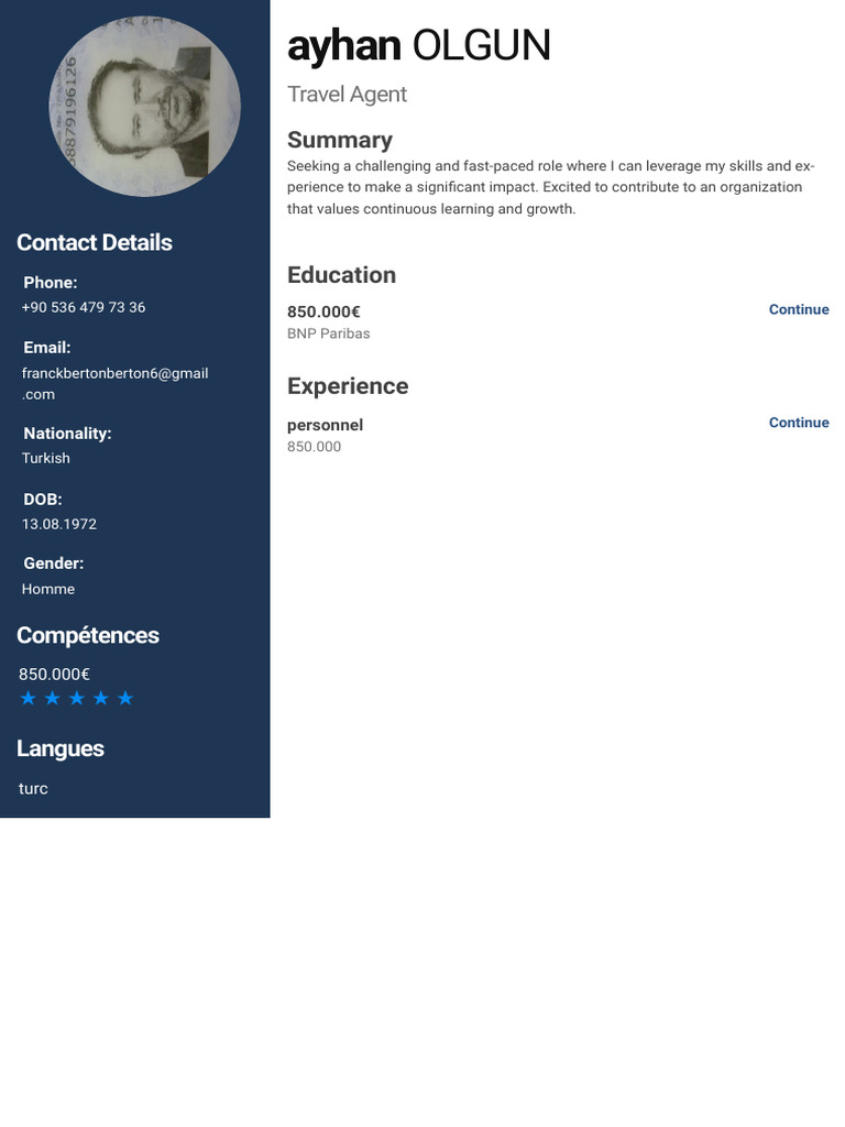 Ayhan Resume 779 | PDF | Career & Growth | Law