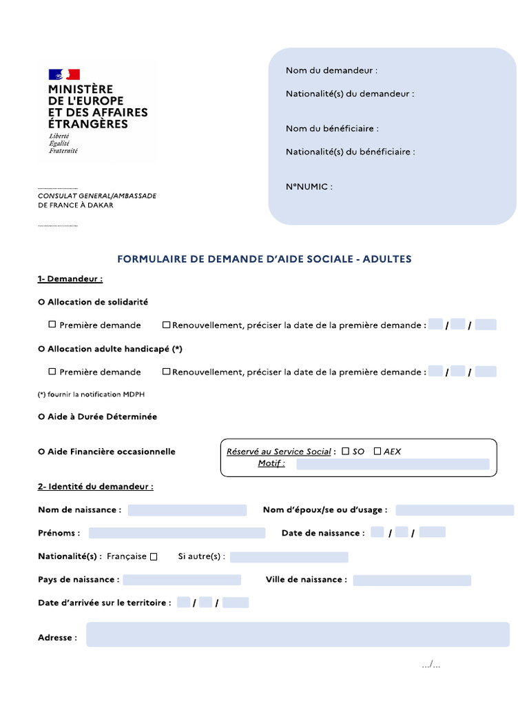 Formulaire de Demande D'aide Sociale - Adultes 2025 | PDF