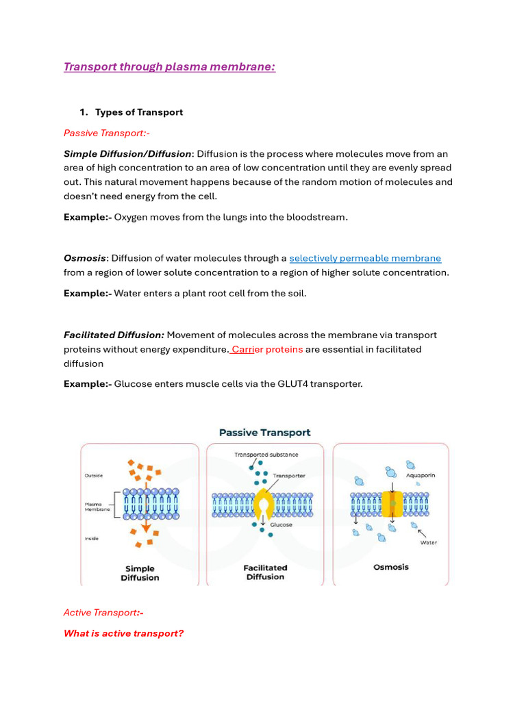 Transport Through Plasma Membrane | PDF | Cell Membrane | Physiology