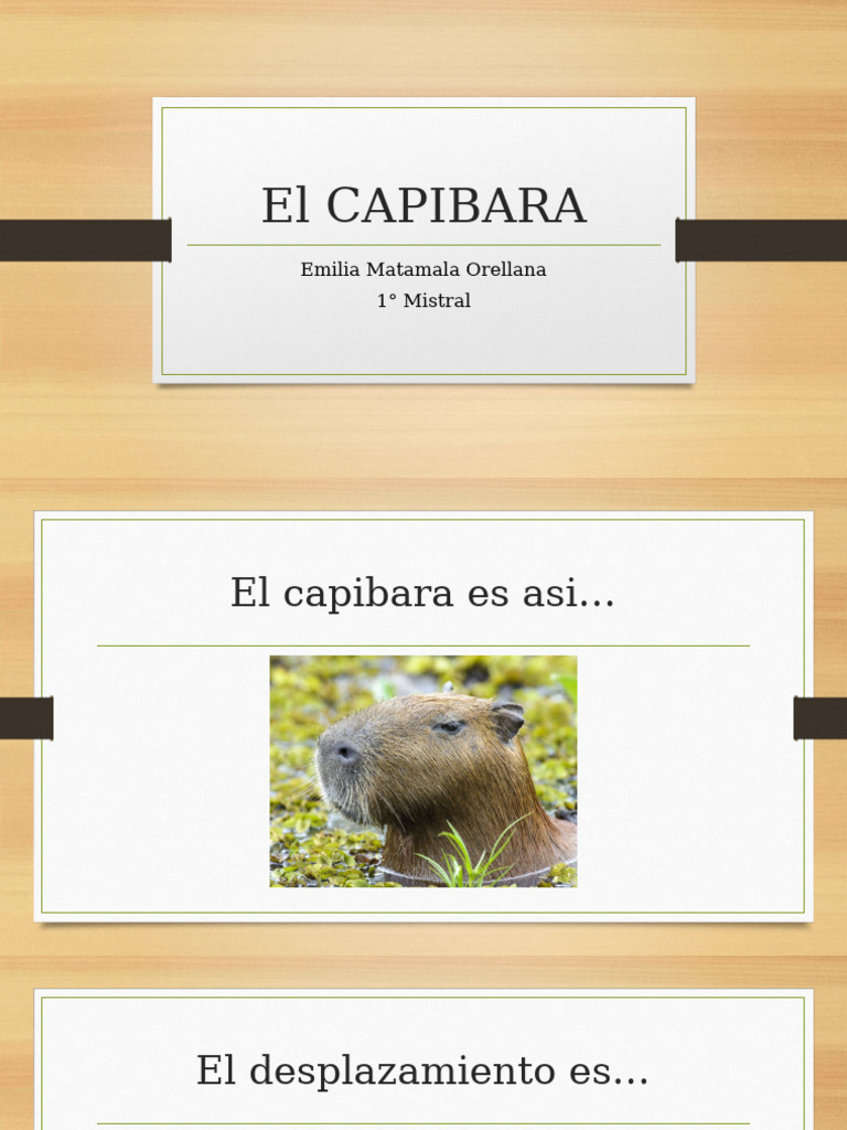 CAPIBARA | PDF | Hogar y jardín