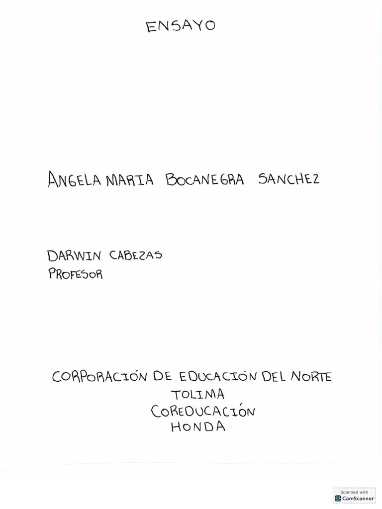 Ensayo de Angela Bocanegra | PDF