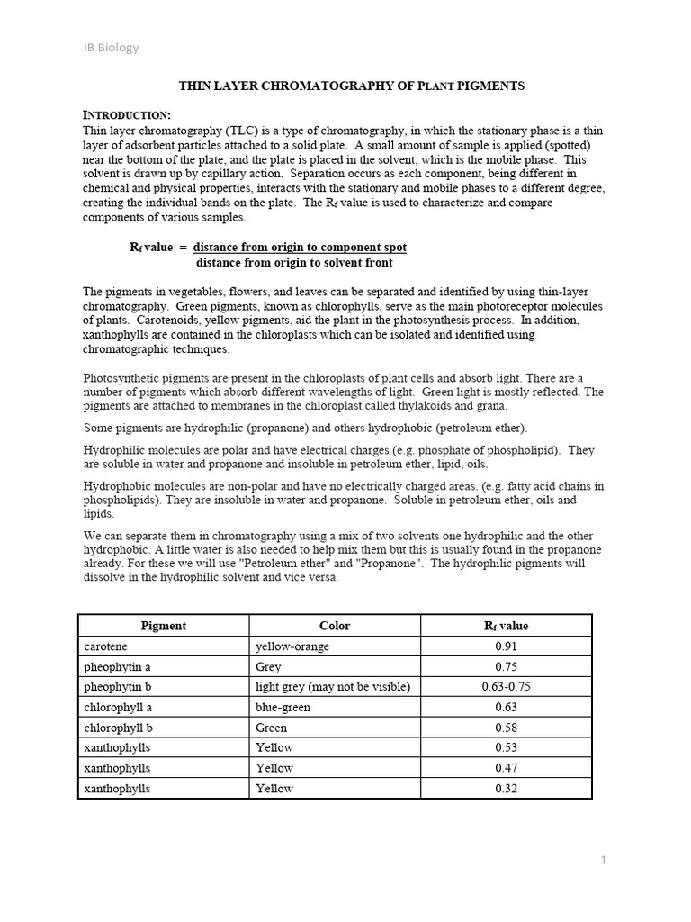 Chromatography: Coleus + Basil | PDF | Chromatography | Thin Layer ...