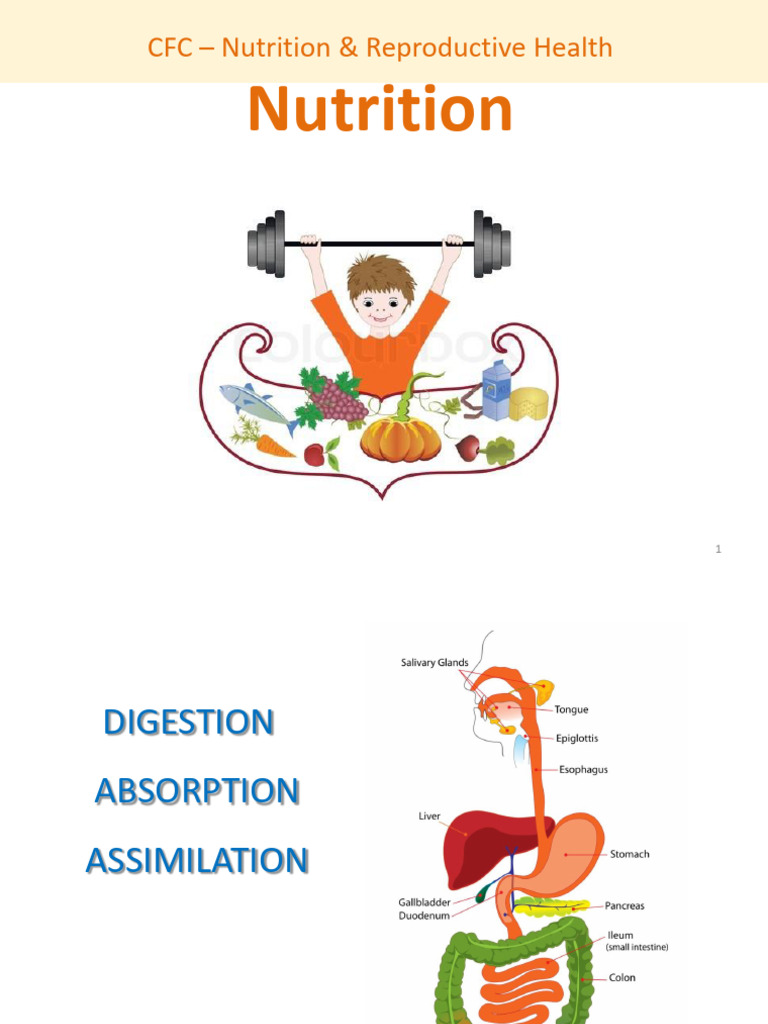 02_Digestion_Absorption_Assimilation | PDF | Digestion | Human Digestive System