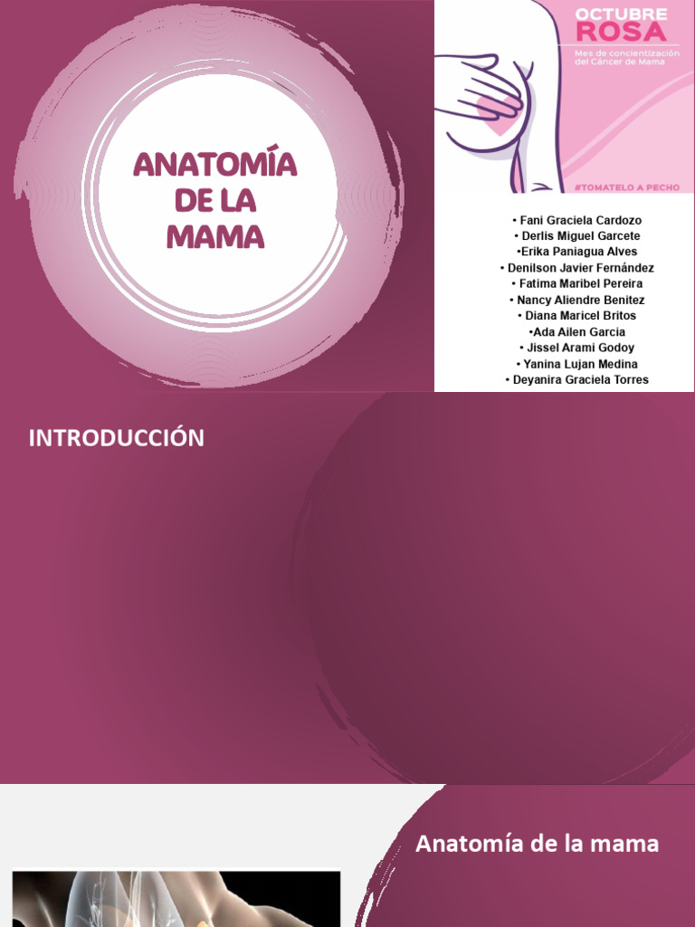 ANATOMÍA DE LA MAMA | PDF | Pecho | Especialidades Medicas