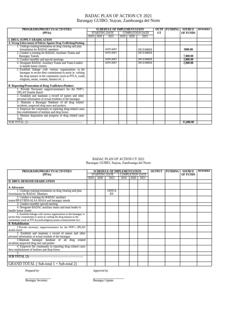 BADAC_PLAN_OF_ACTION_CY_2019 | PDF | Crime & Violence | Justice