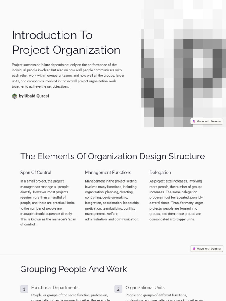 Introduction To Project Organization | PDF | Team Building | Business ...