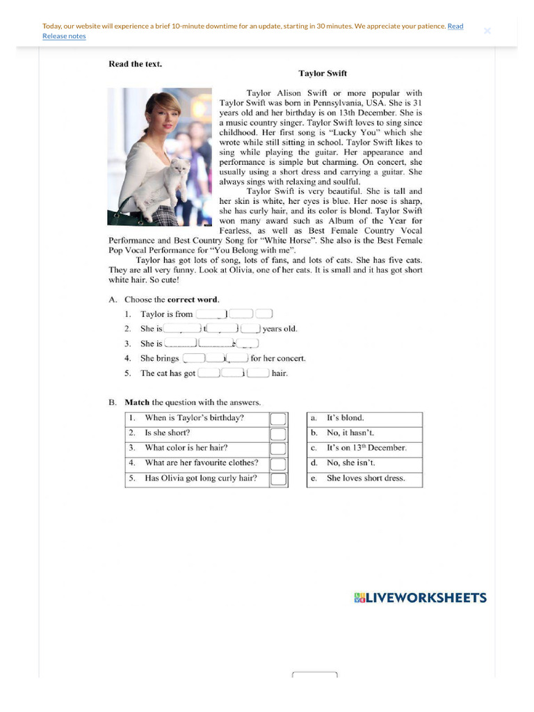 Descriptive Text - Taylor Swift | PDF