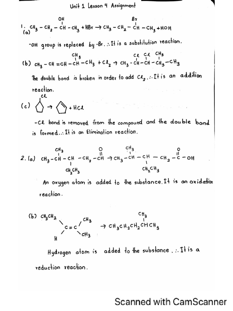 Elenca Kywe SCH4U Unit 1 Lesson 4 Assign | PDF