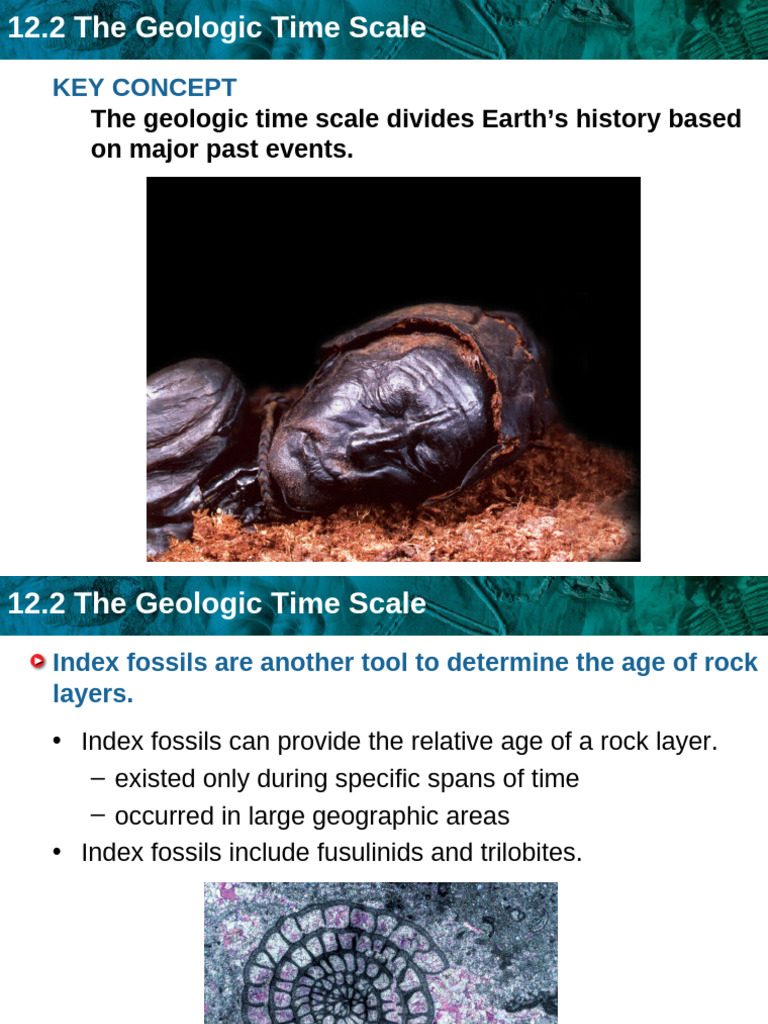 Understanding the Geologic Time Scale | PDF