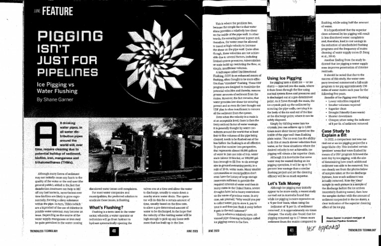 Ice Pigging Article | PDF