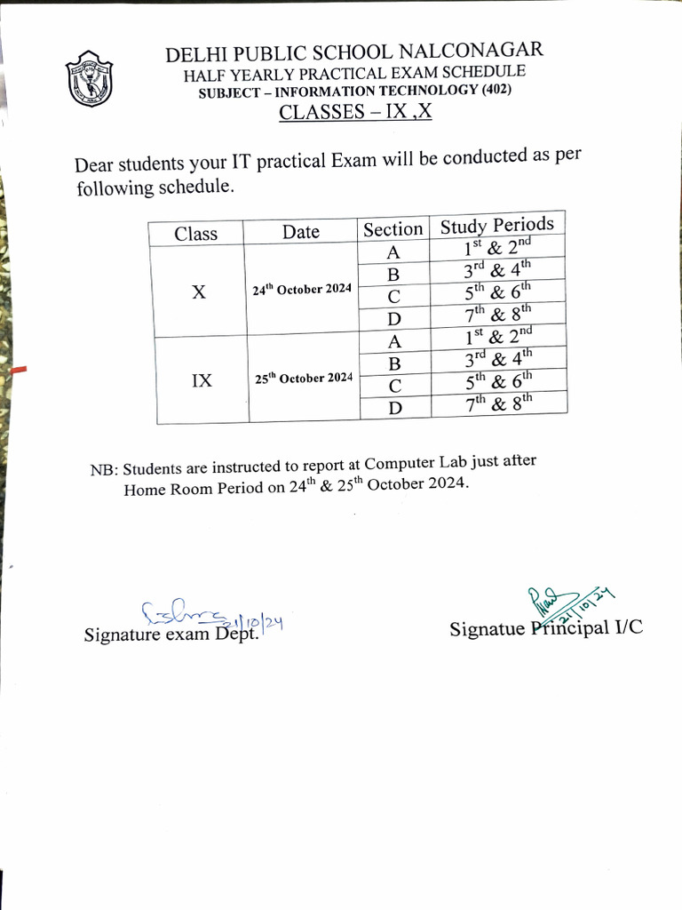 Classes IX & X IT Practical | PDF