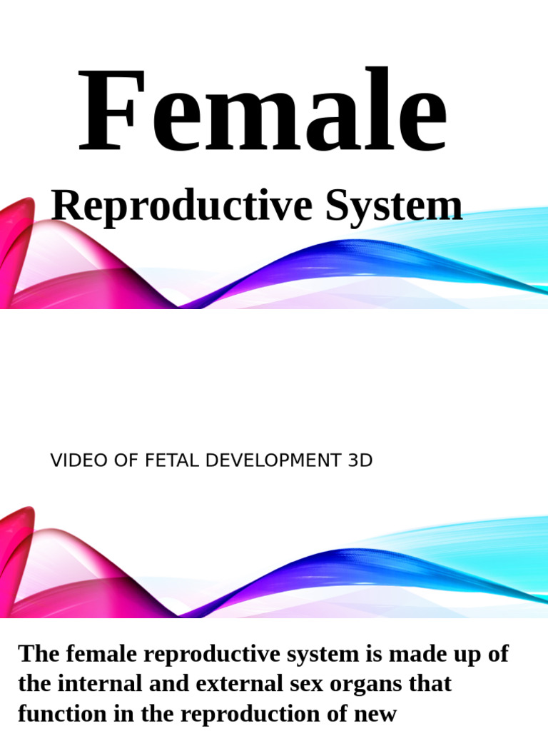 FEMale Reproductive System | PDF | Reproductive System | Menstrual Cycle