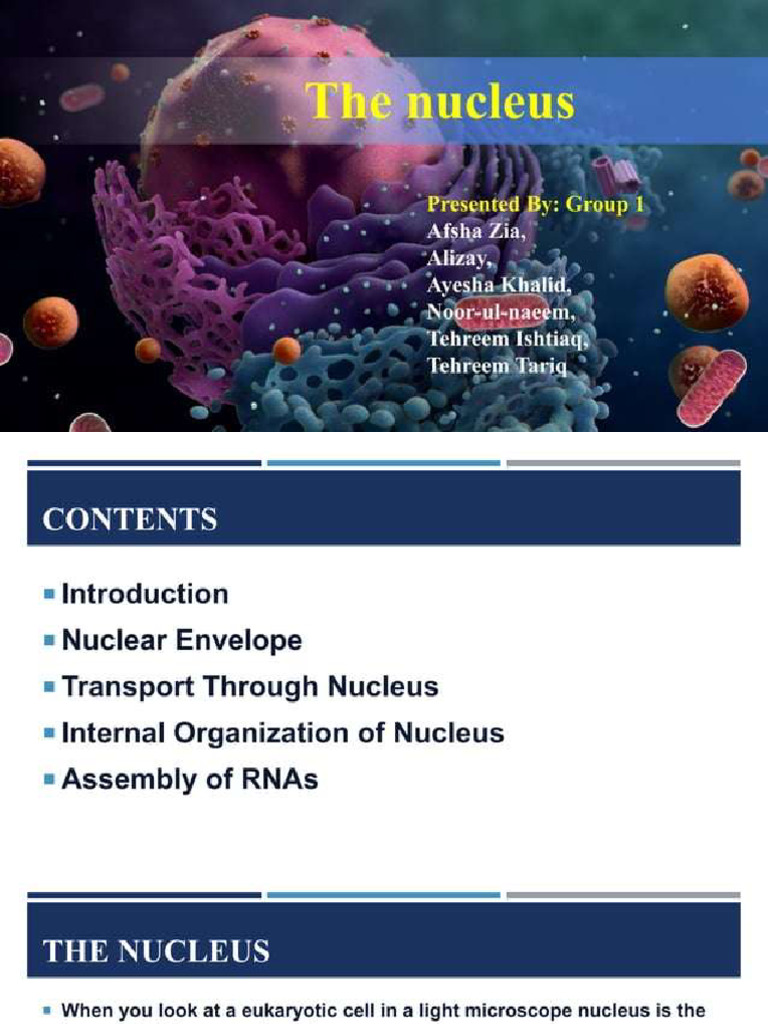 Nucleus | PDF