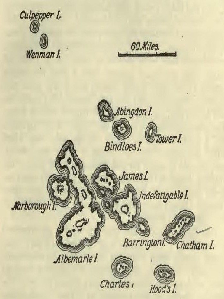 The Voyage of The Beagle | PDF | Rock (Geology)