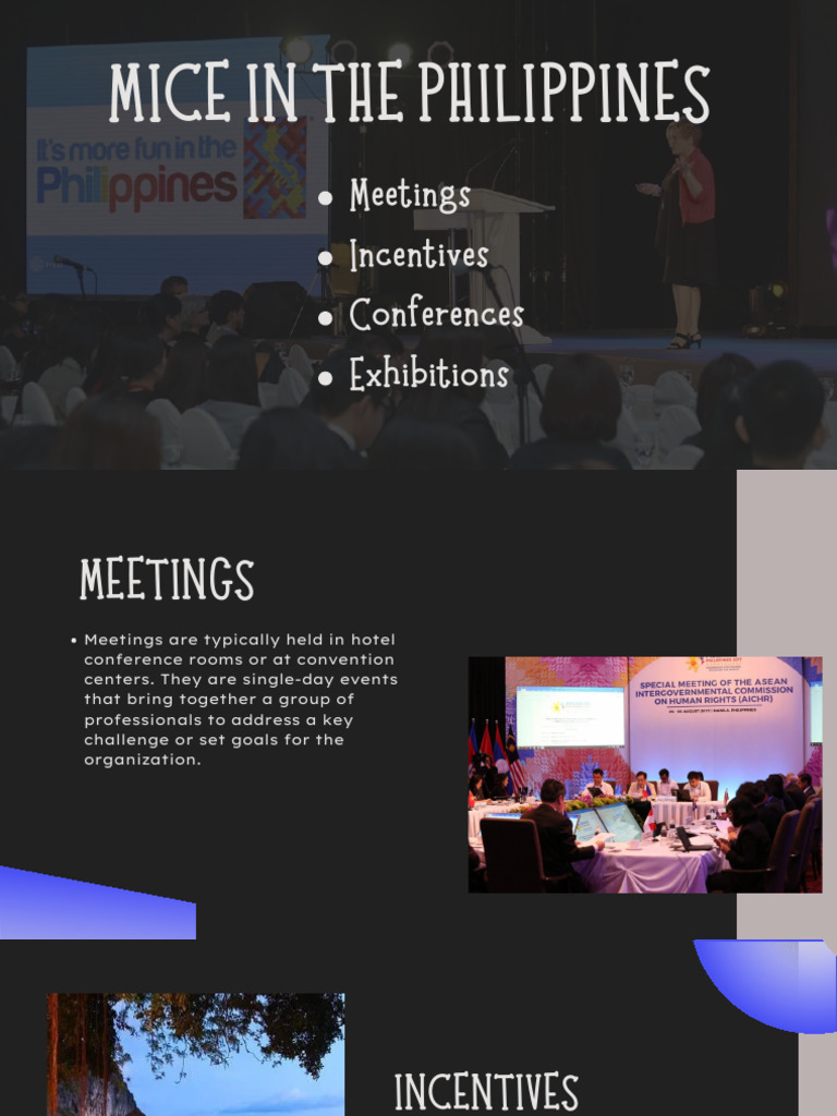 Mice | PDF | Infrastructure | Philippines