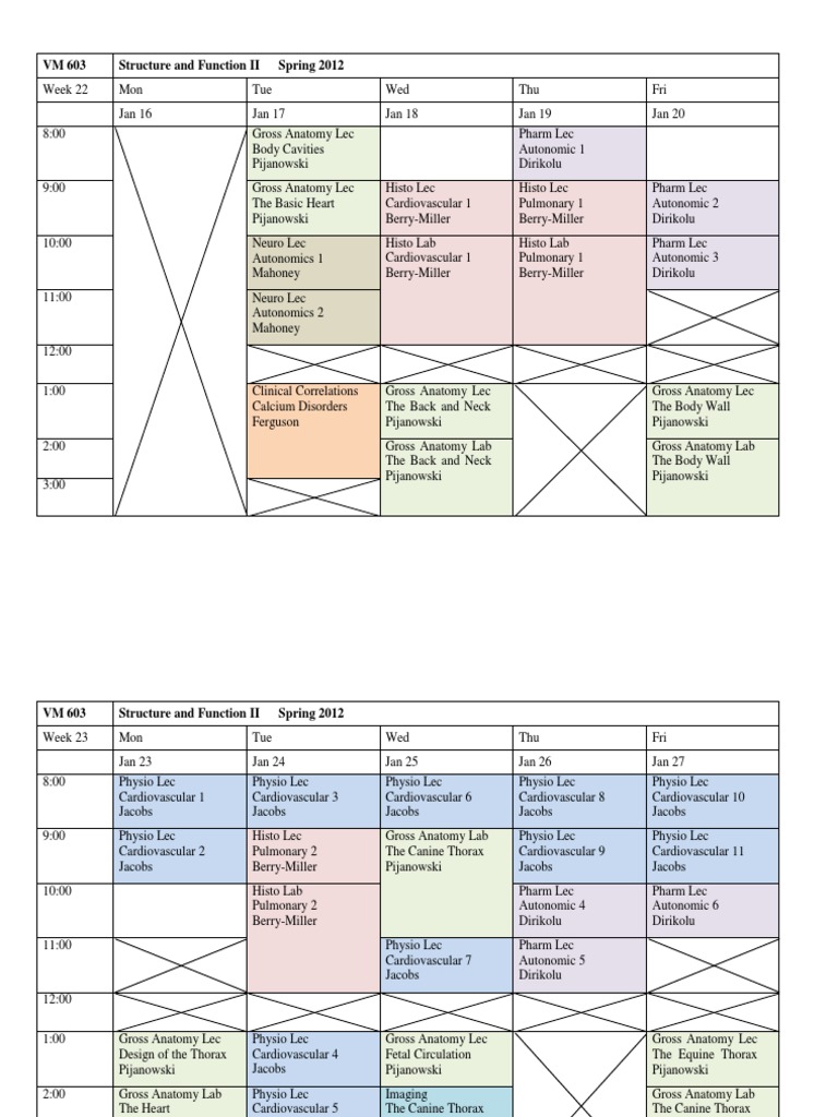 VM 603 Structure & Function II Schedule | PDF | Circulatory System ...
