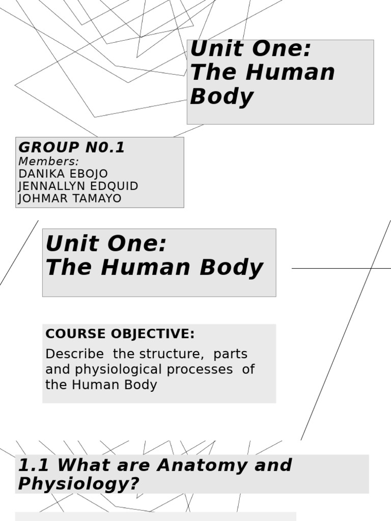 August 17, 2024 - GROUP 1 Human Body | PDF | Muscle | Human Body