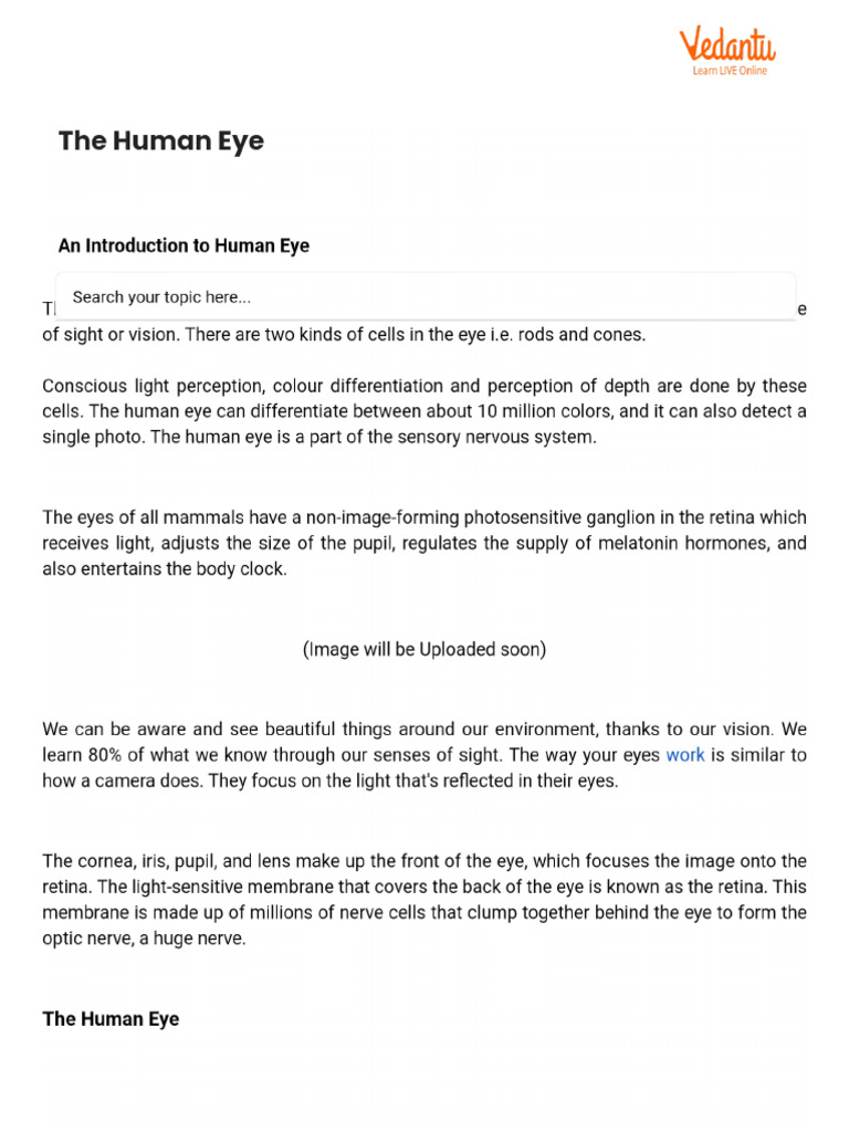 The Human Eye | PDF