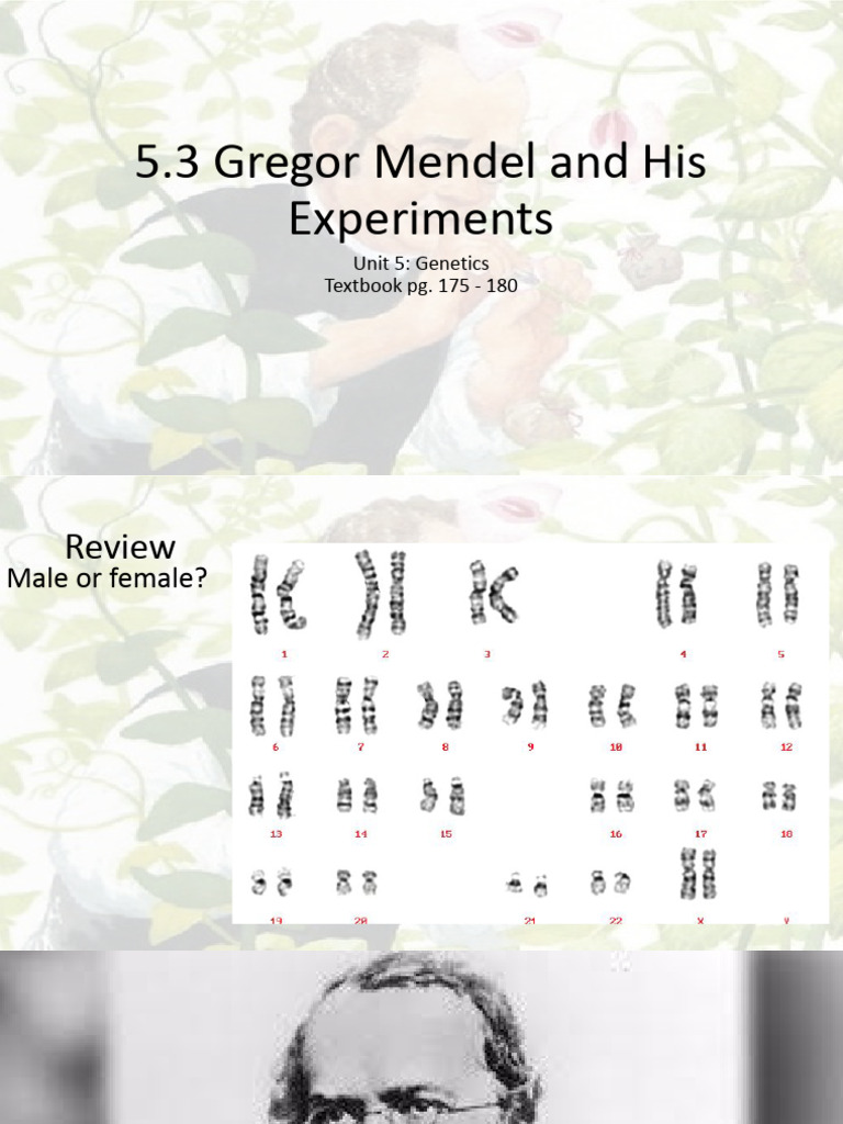 5.3 Gregor Mendel and His Experiments | PDF | Pea | Genetics