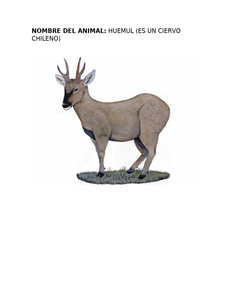 HUEMUL | PDF