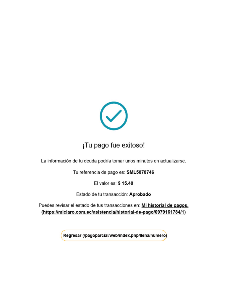 Pago de Factura en Linea Agosto 2024 | PDF