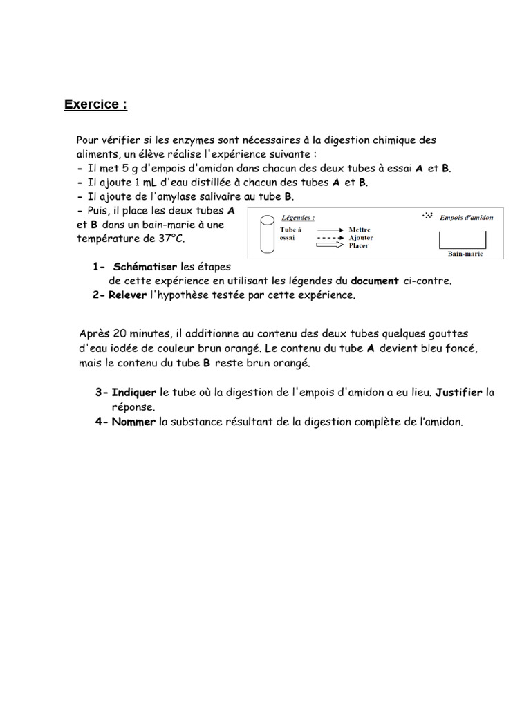 Exercice Schéma - Digestion 3AC | PDF